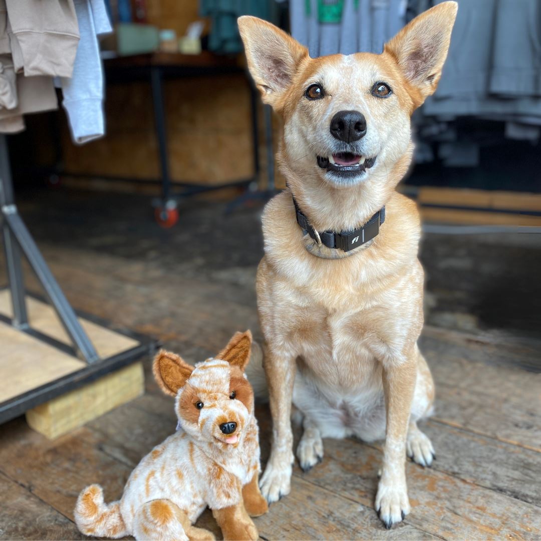 Pepper Plush – Rockford Art Deli